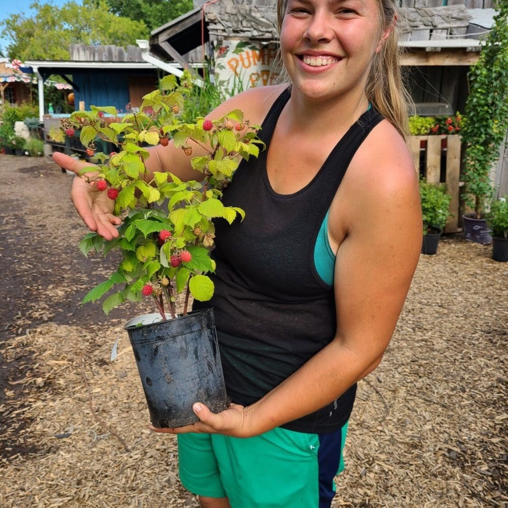 Orchard Package Archives - Prairie Gardens