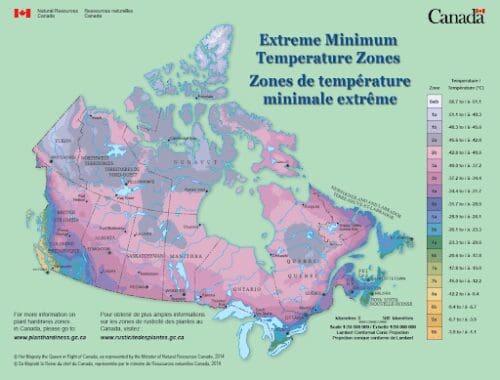 Canadian Hardiness Zones are Not the Same as US Hardiness Zones ...