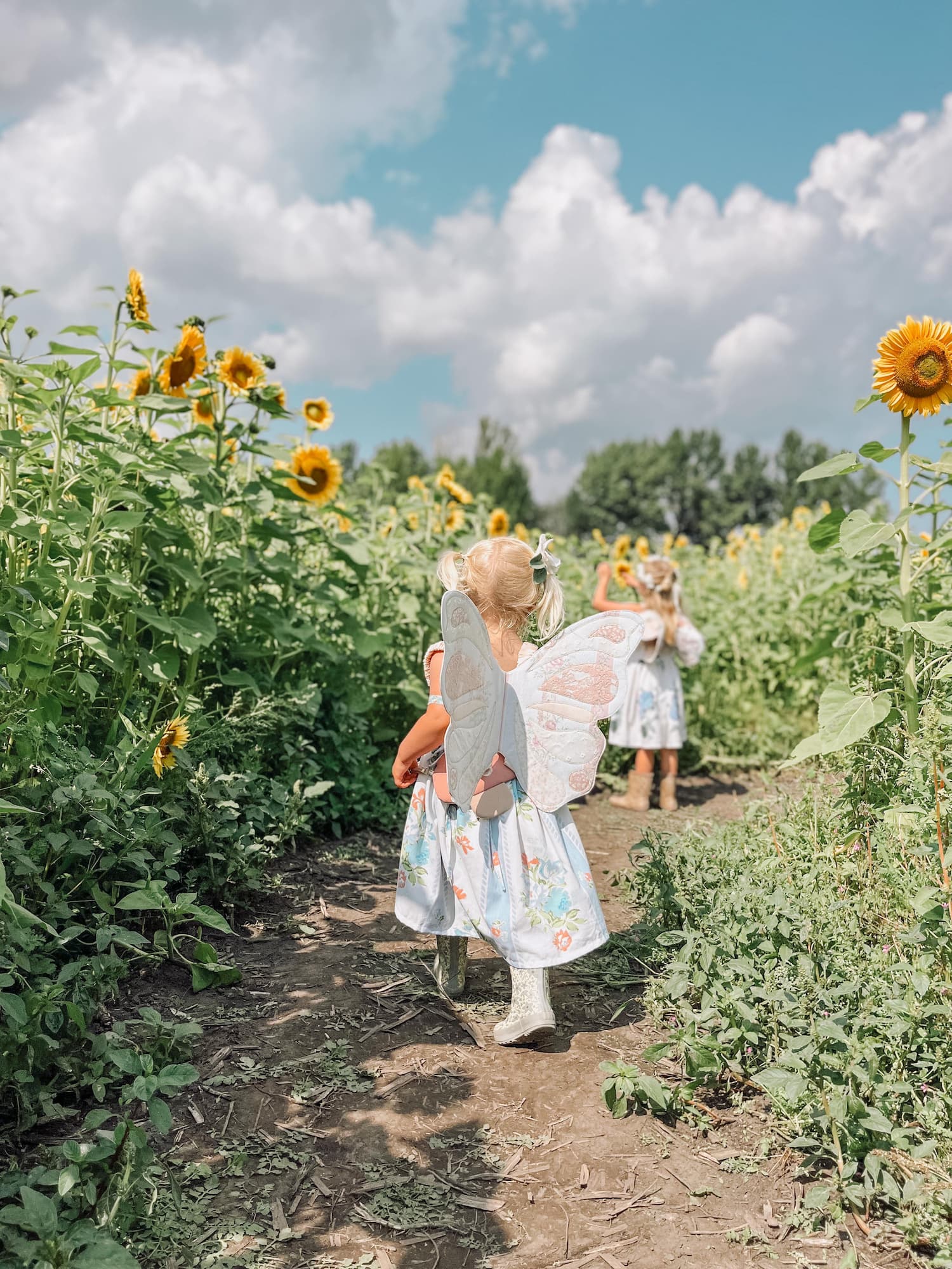 Sunflower Daze Festival - Prairie Gardens